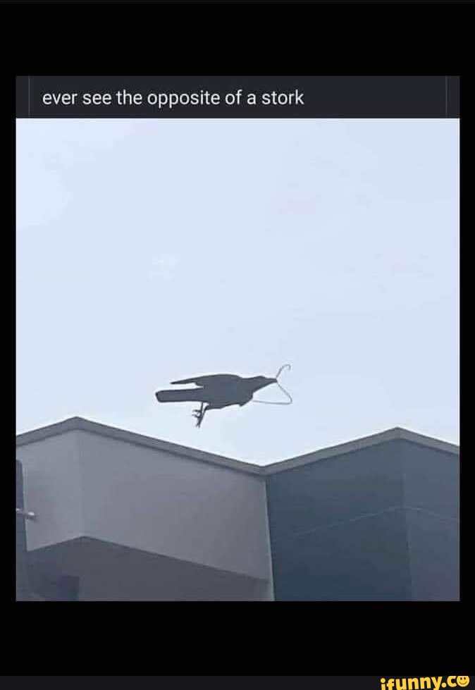 Stork memes. Best Collection of funny Stork pictures on iFunny