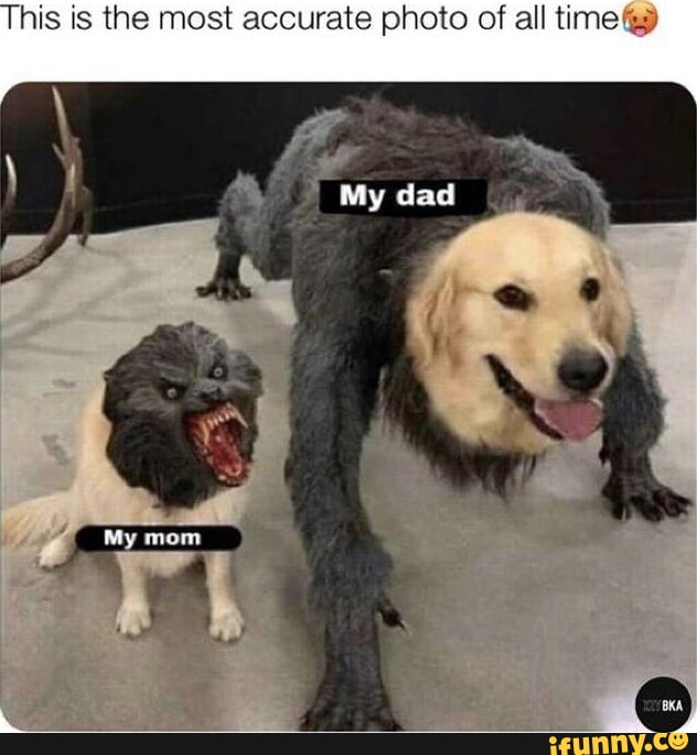 This is the most accurate photo of all time@ My dad I - iFunny
