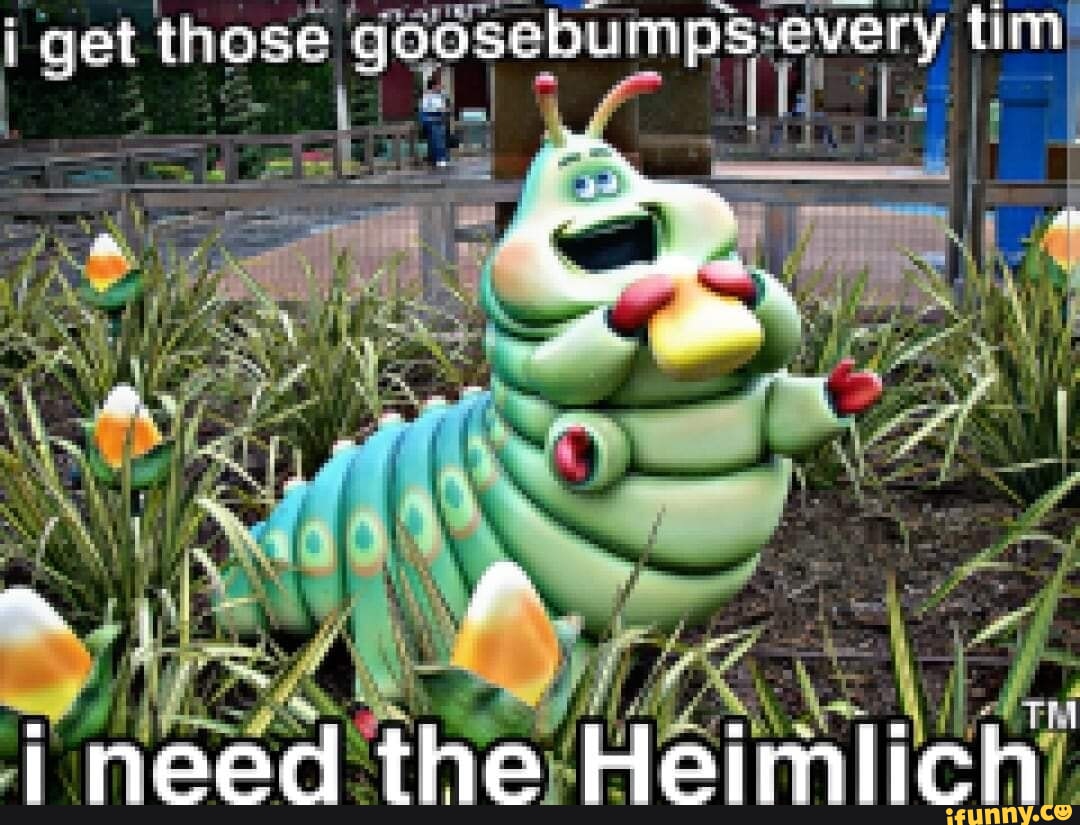 Heimlich memes. Best Collection of funny Heimlich pictures on iFunny