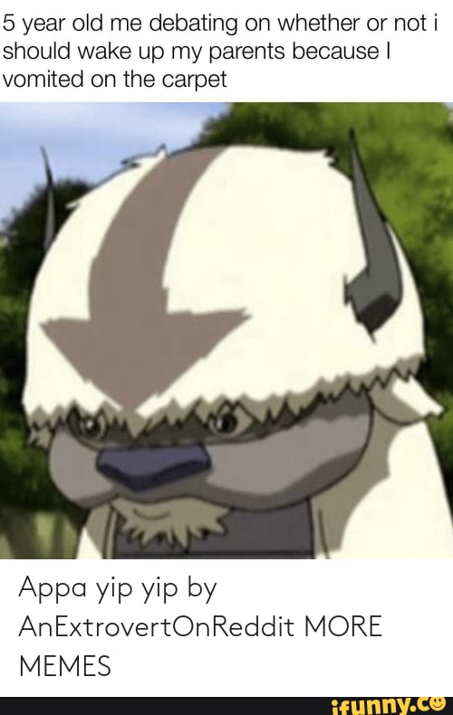 Appa yip yip by AnExtrovertOnReddit MORE MEMES - year old me debating ...