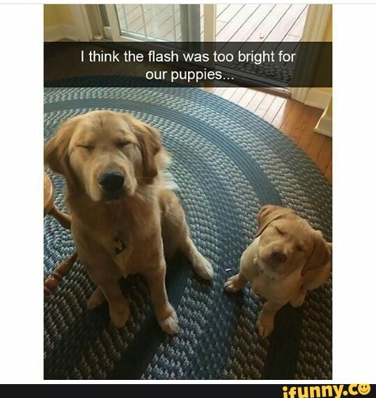 Flash memes. Best Collection of funny Flash pictures on iFunny