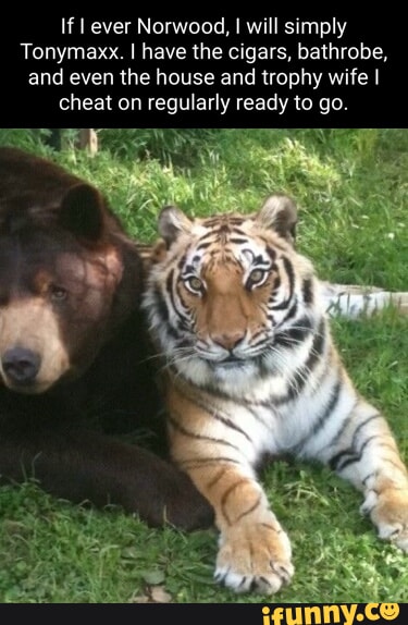 Bathrobe memes. Best Collection of funny Bathrobe pictures on iFunny