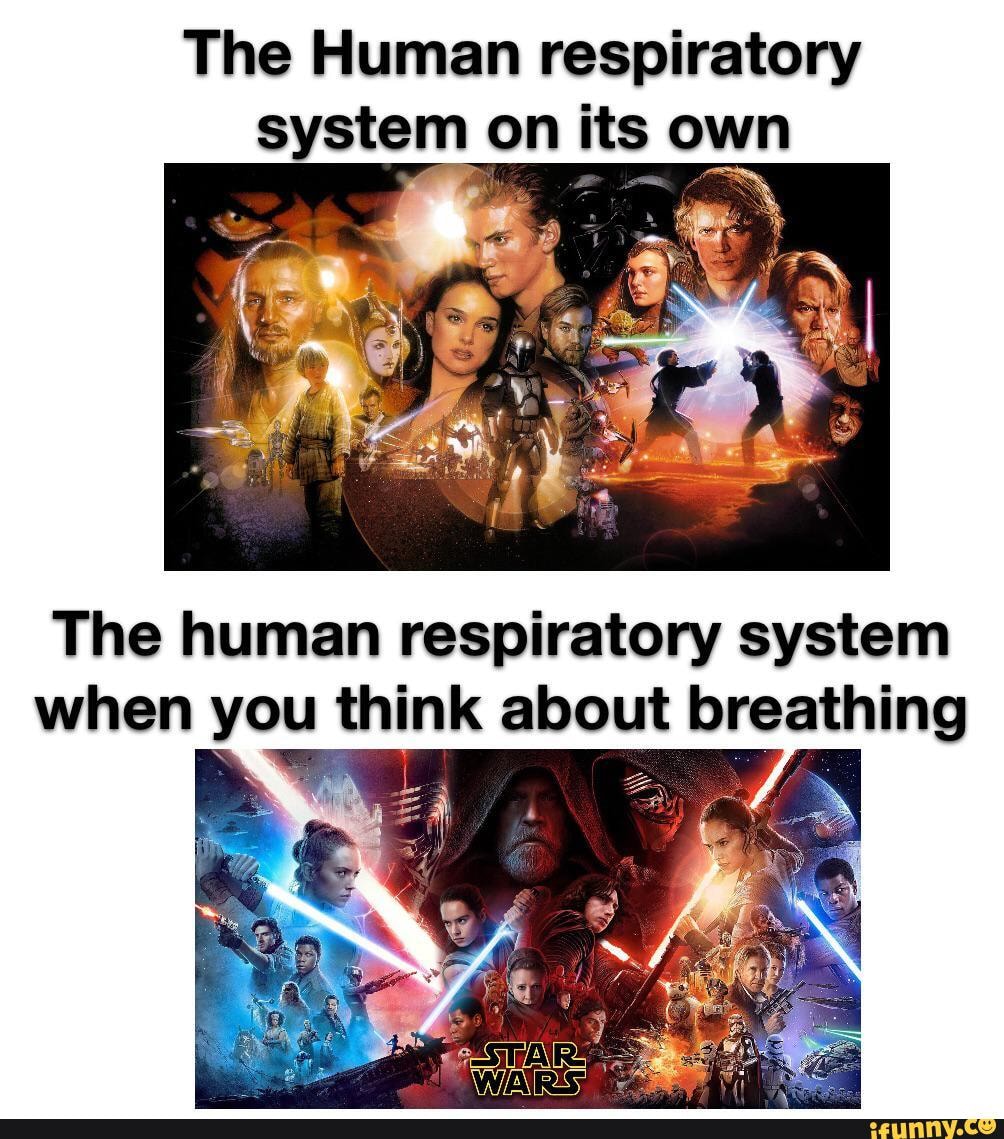 The Human respiratory system on its own The human respiratory system ...