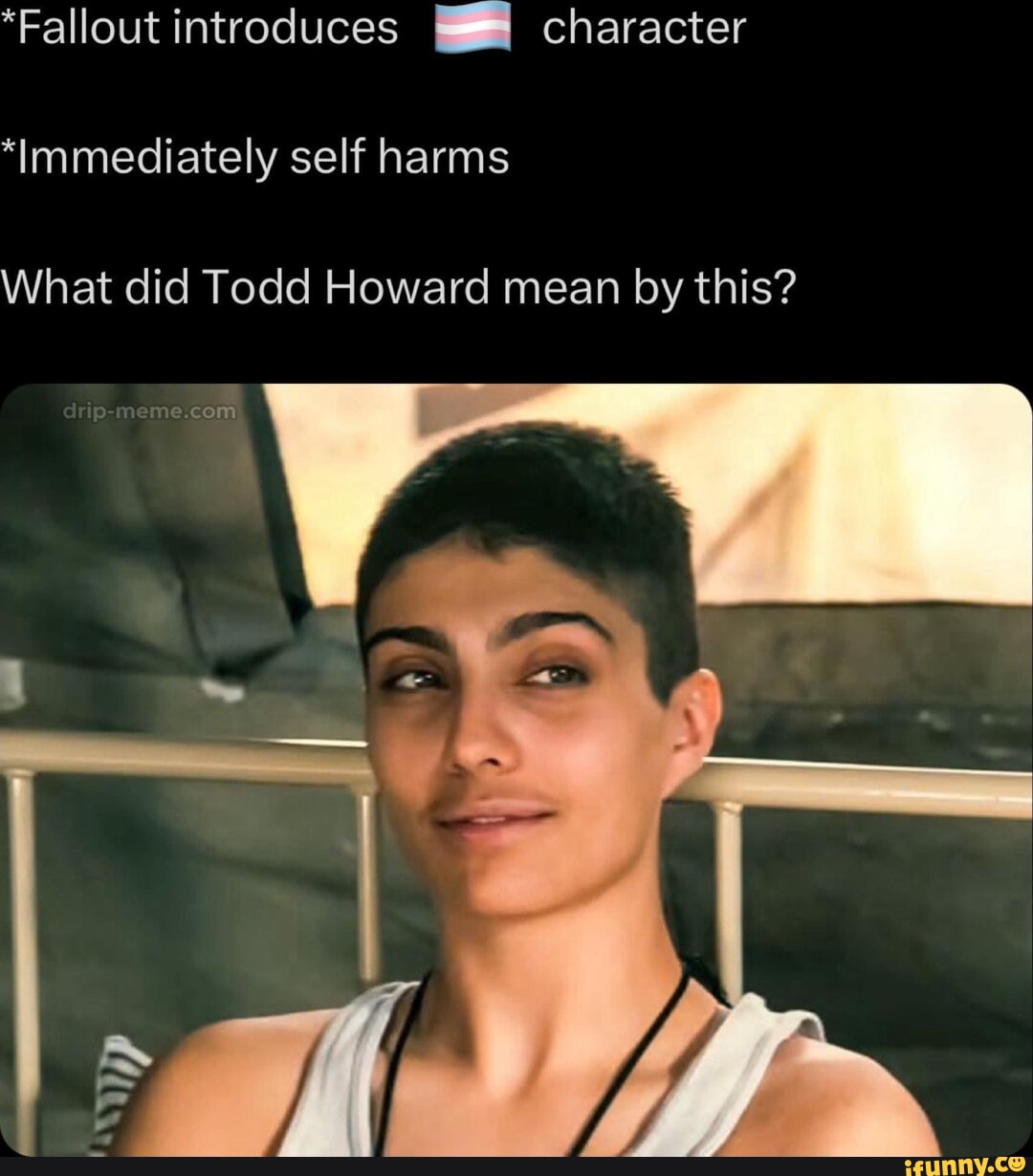 *Fallout introduces character *Immediately self harms What did Todd ...