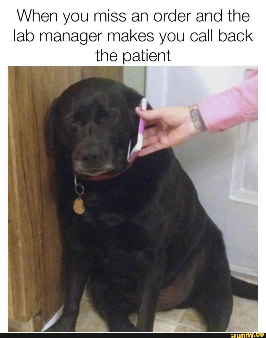 Phlebotomist memes. Best Collection of funny Phlebotomist pictures on ...