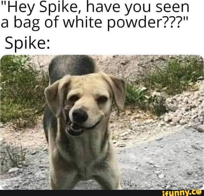"Hey Spike, nave you seen a bag of white powder???" Spike: - iFunny