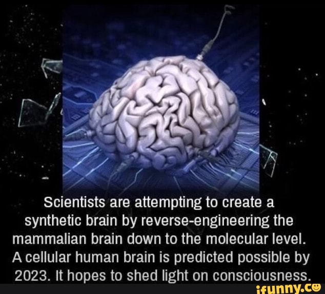 Scientists are attempting to create a synthetic brain by reverse ...
