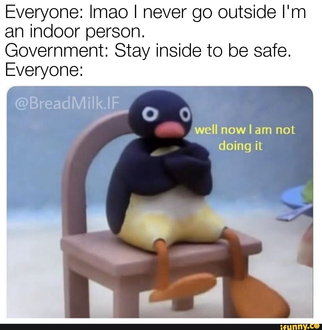 Everyone: Imao I never go outside I'm an indoor person. Government ...