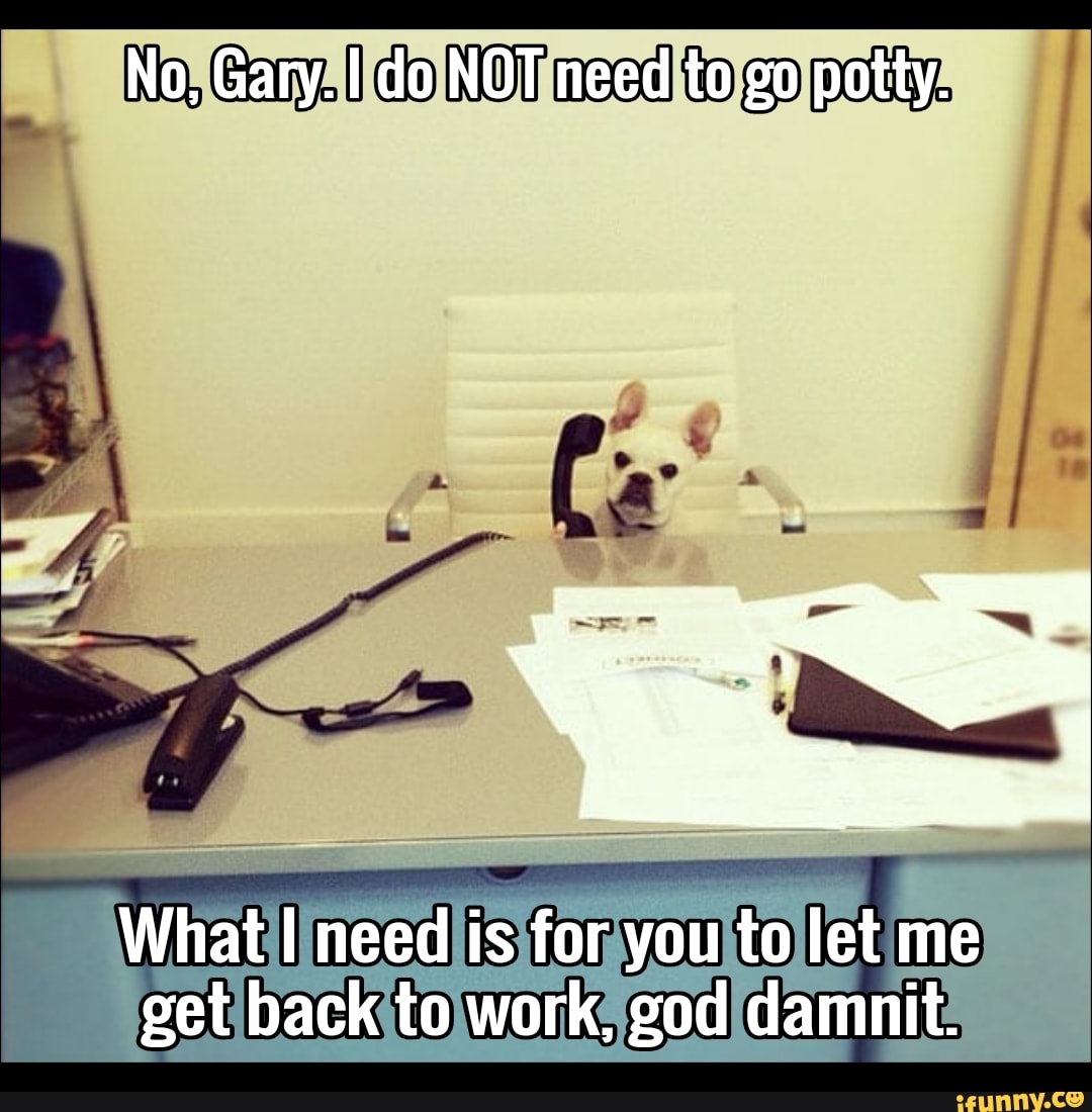 No, Gary. I do NOT need to go potty. What I need is for you to let me ...