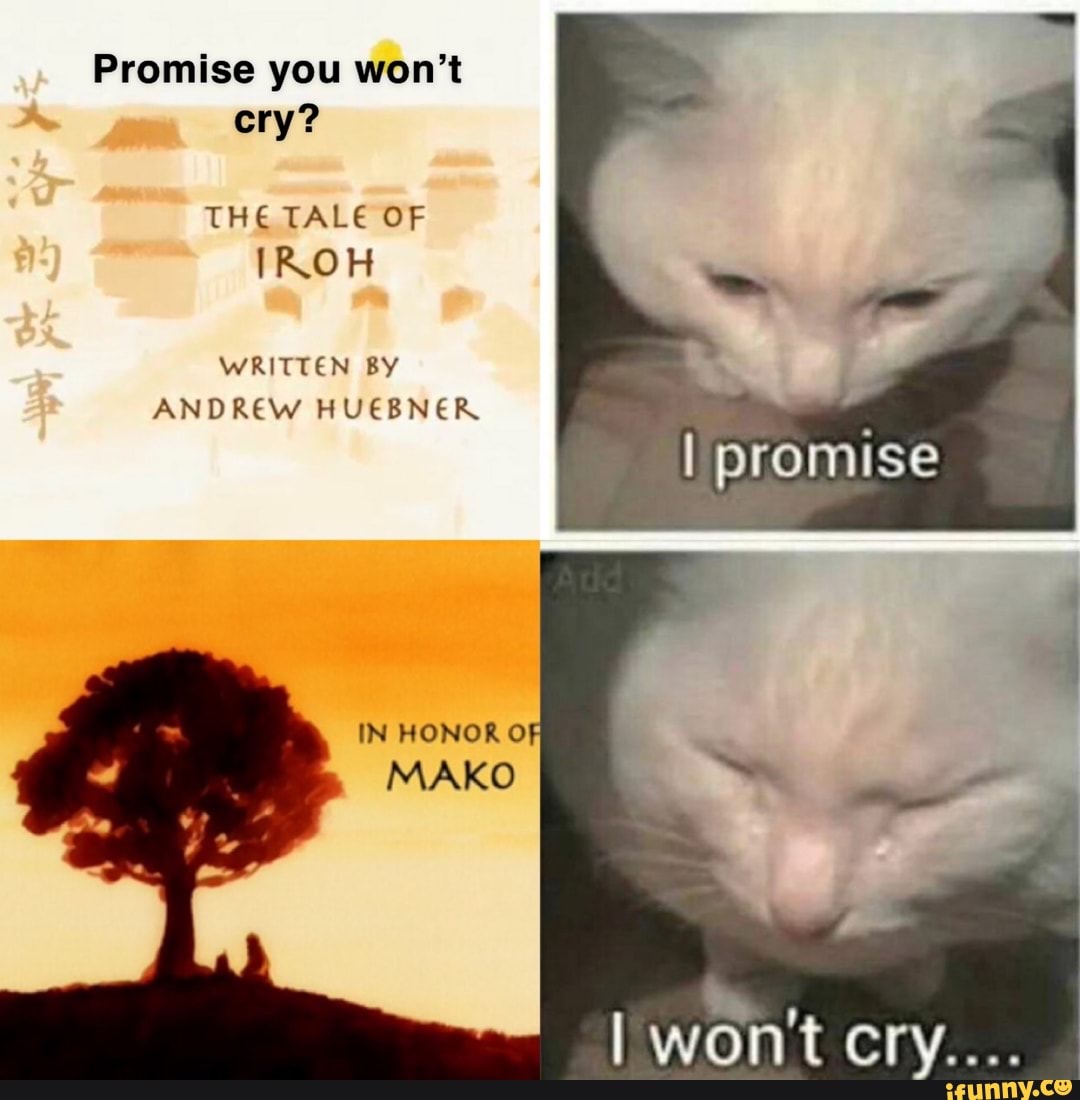 Promise you won't cry? THE TALE OF IROH WRITTEN BY ANDREW HUEBNER. - iFunny