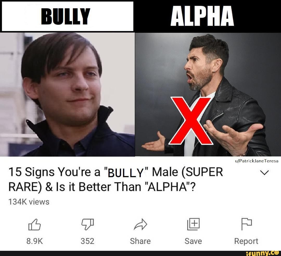 15 Signs You're a "BULLY" Male (SUPER RARE) & Is it Better Than "ALPHA ...