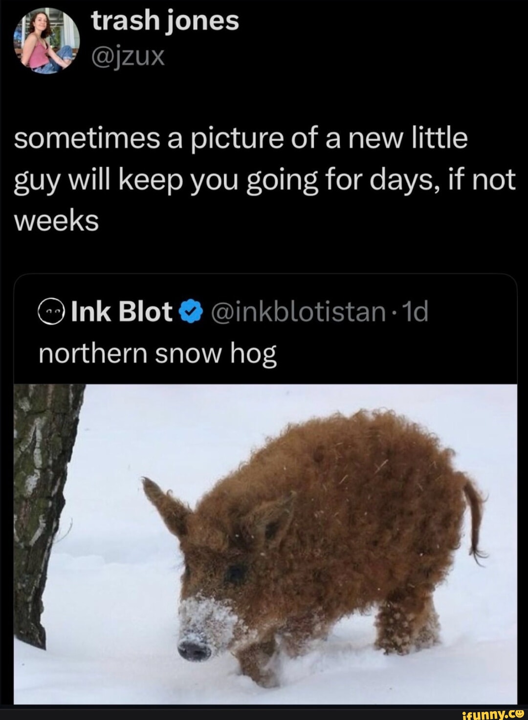 iFunny - the best memes, video, gifs and funny pics in one place