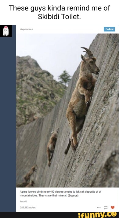 These guys kinda remind me of Skibidi Toilet. - iFunny