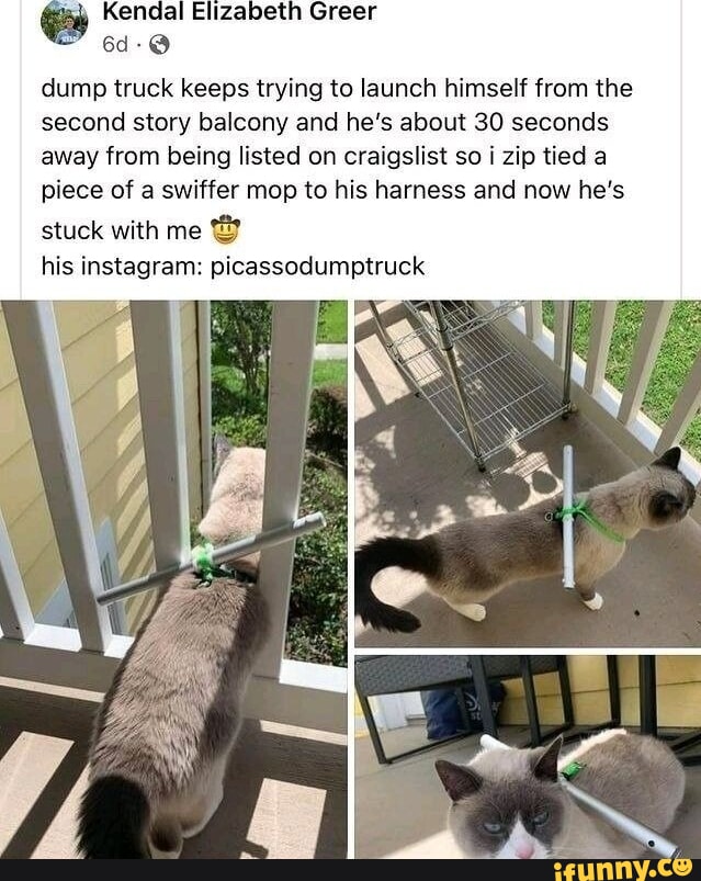 Swiffer memes. Best Collection of funny Swiffer pictures on iFunny