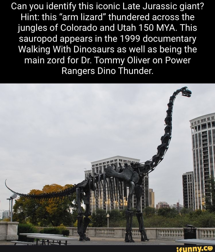 Can you identify this iconic Late Jurassic giant? Hint: this "arm ...