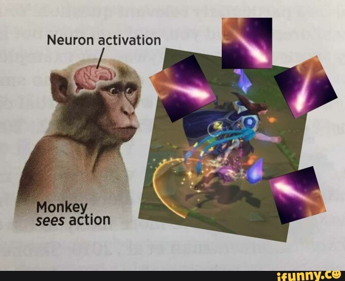 Neuron activation Monkey sees action - iFunny