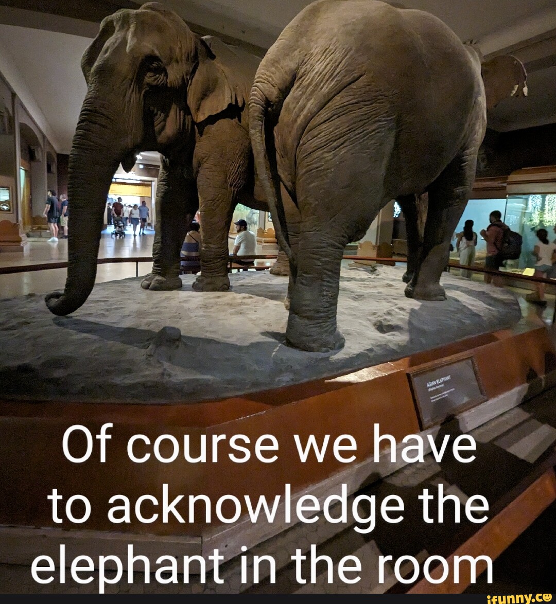 Of course we have to acknowledge the elephant in the room - iFunny