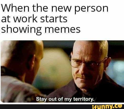 When the new person at work starts showing memes Stay out of my ...