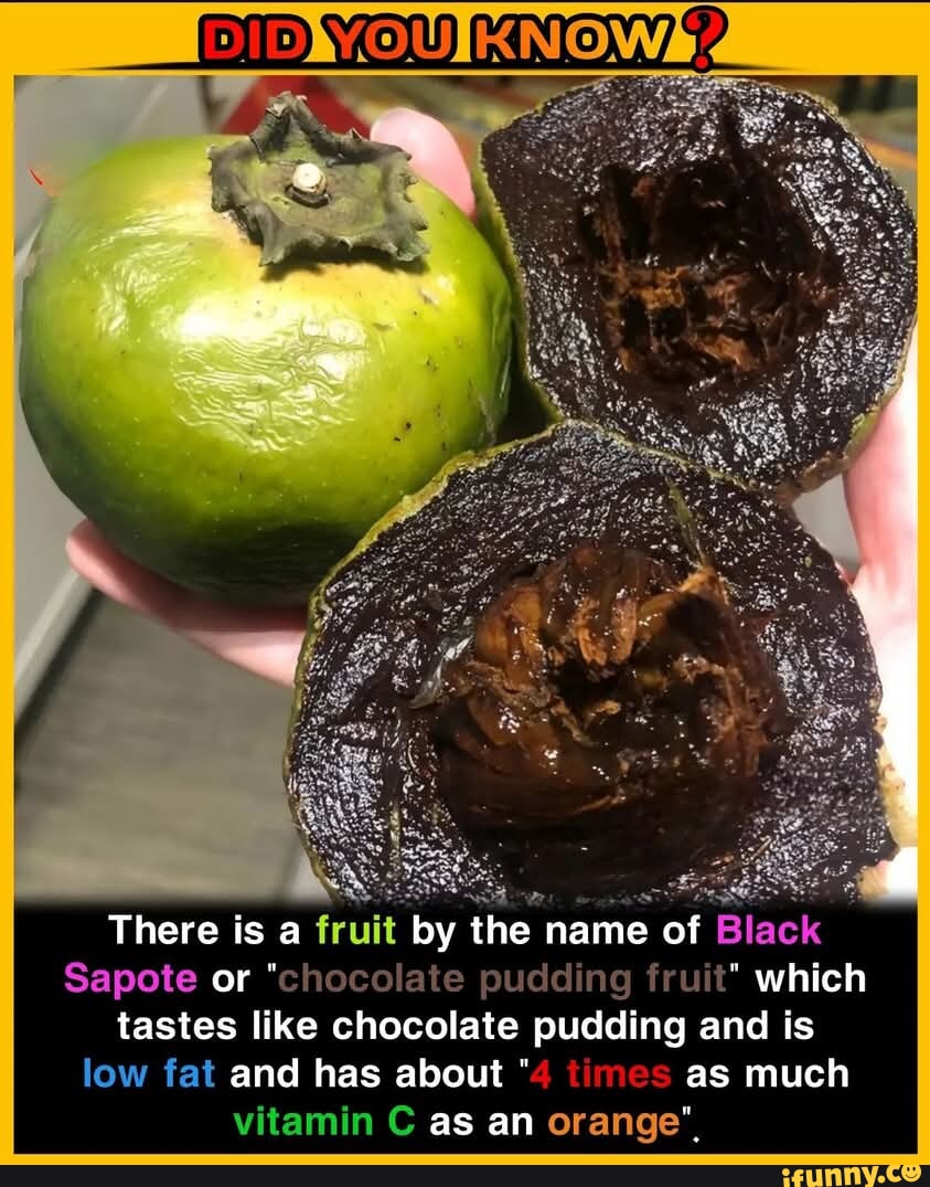 There is a fruit by the name of Black Sapote or "chocolate pudding ...