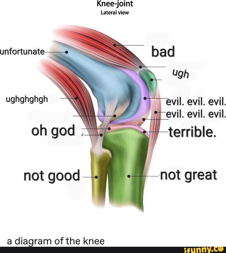 Knee-joint Lateral view evil. evil. evil. oh god ot good- great a ...