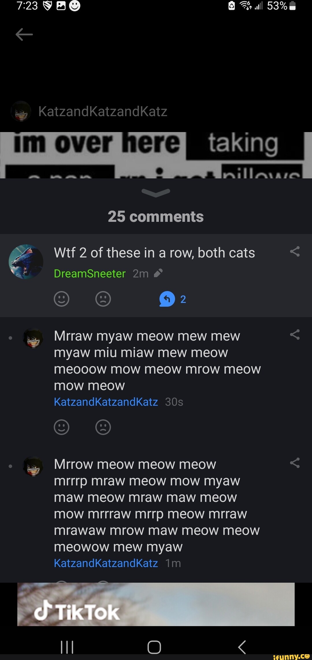 Mrraw memes. Best Collection of funny Mrraw pictures on iFunny