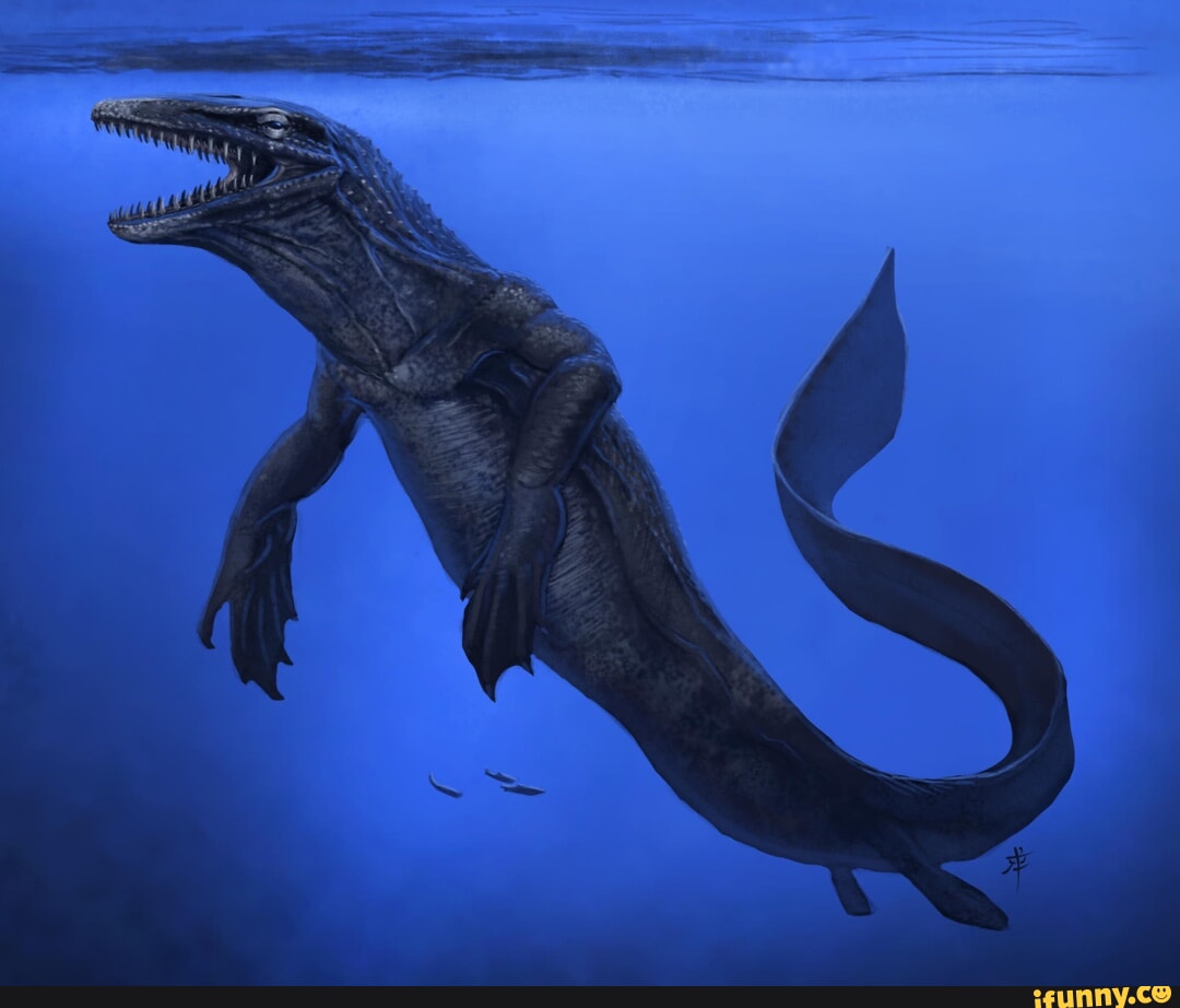 Mosasaurus memes. Best Collection of funny Mosasaurus pictures on iFunny