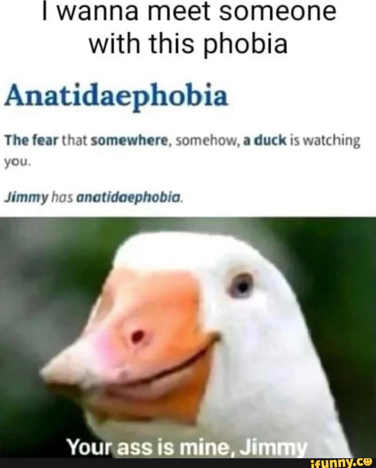 Anatidaephobia memes. Best Collection of funny Anatidaephobia pictures ...