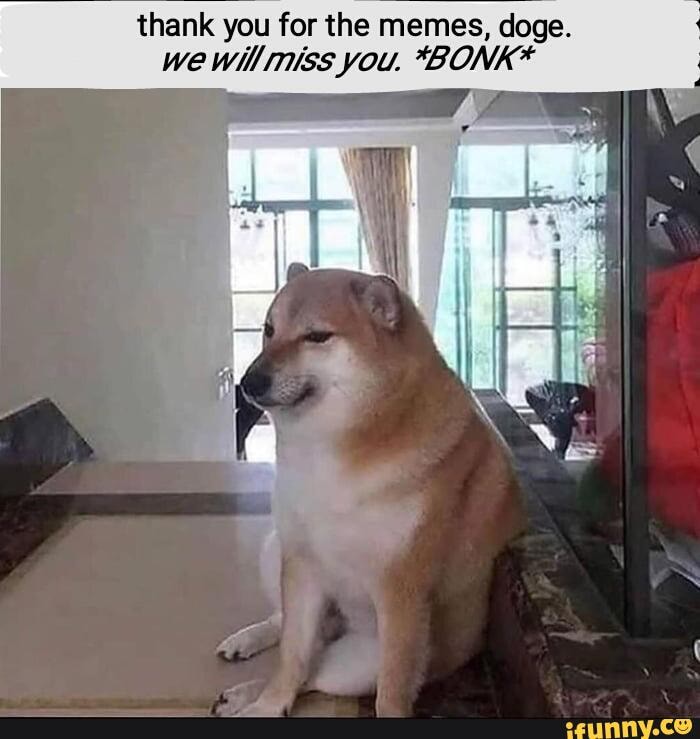 Thank you for the memes, doge. we will miss you. *BONK* - iFunny