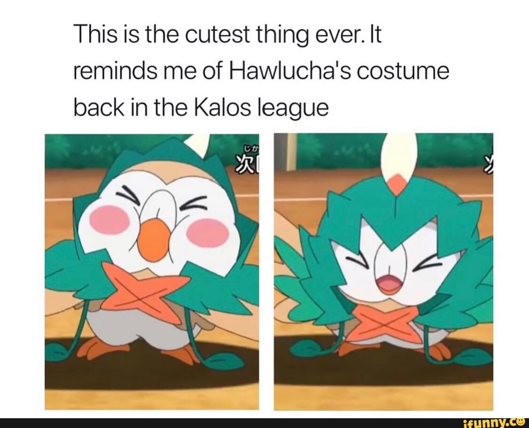 This is the cutest thing ever. It reminds me of Hawlucha's costume back ...
