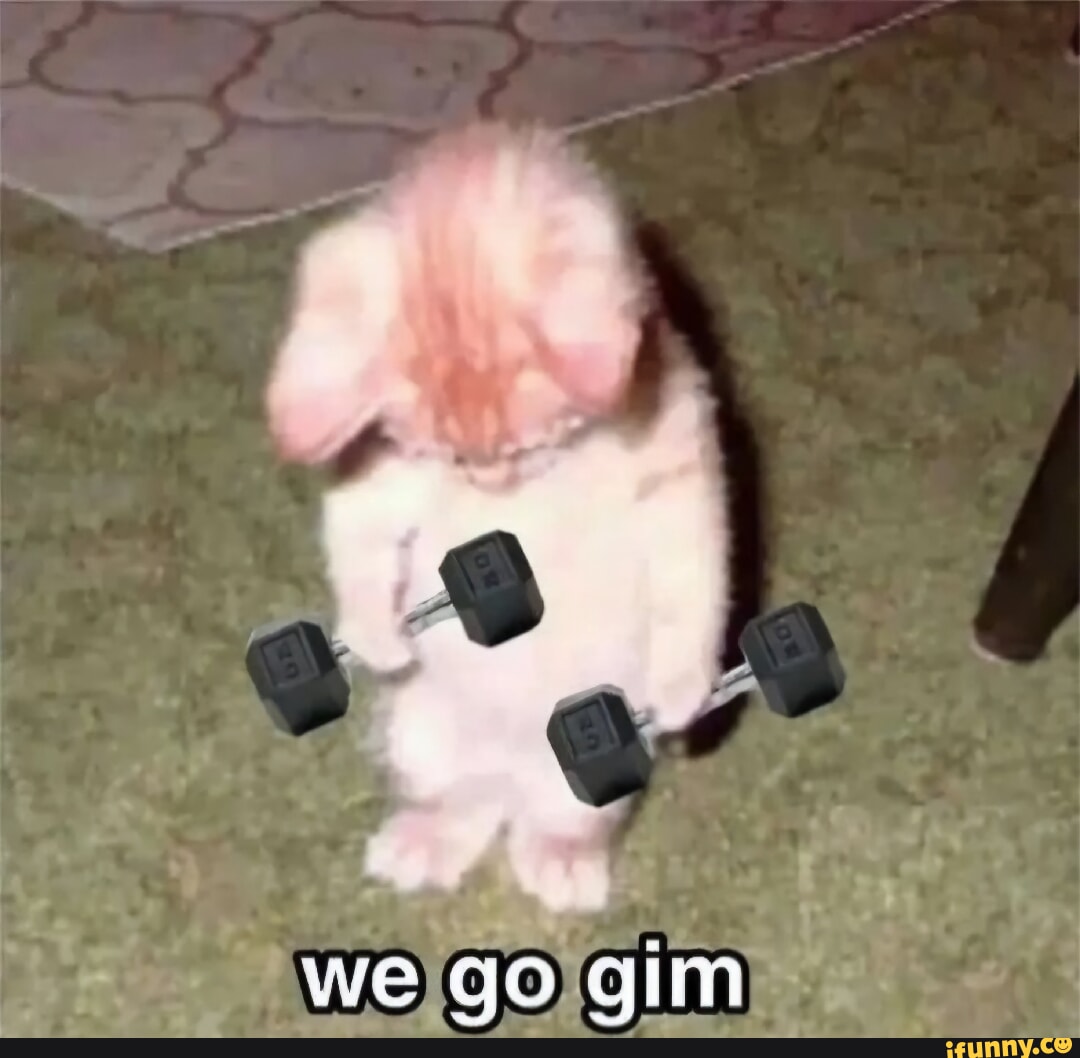 Weights memes. Best Collection of funny Weights pictures on iFunny