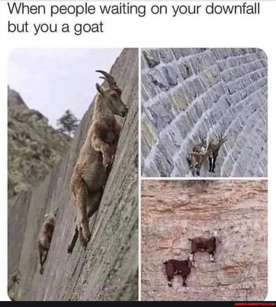 When people waiting on your downfall but you a goat I I - America’s ...