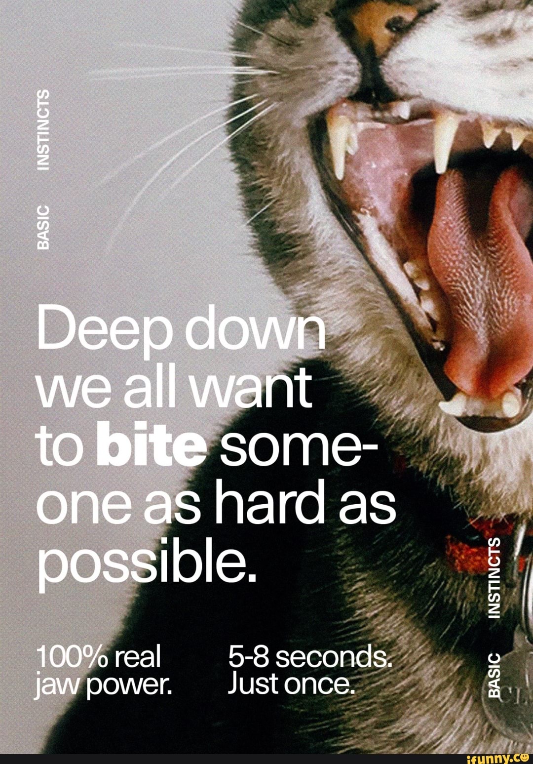 BASIC INSTINCTS Deep down we all want to bite some- one as hard as ...