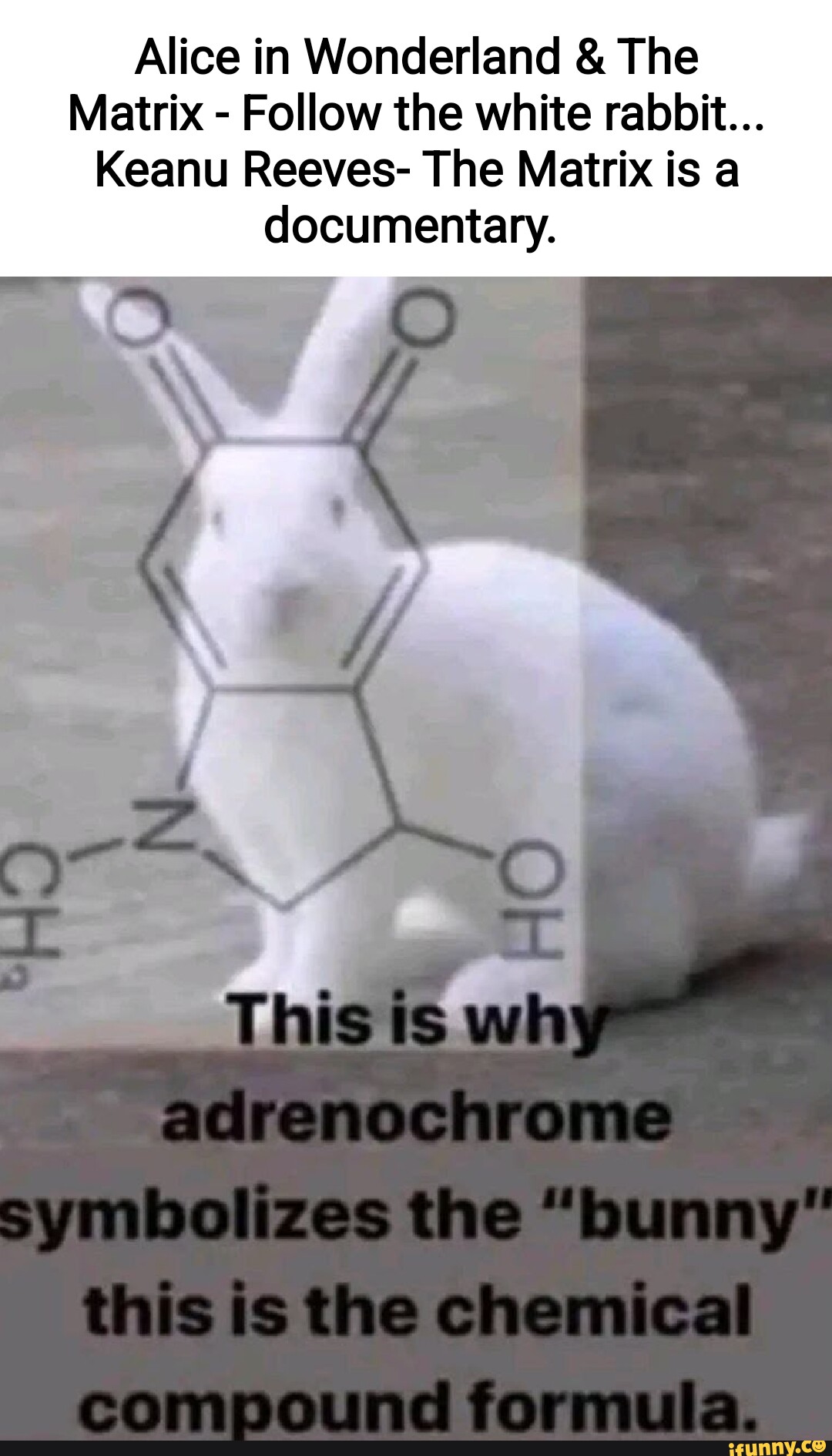 Alice in Wonderland & The Matrix - Follow the white rabbit... Keanu ...