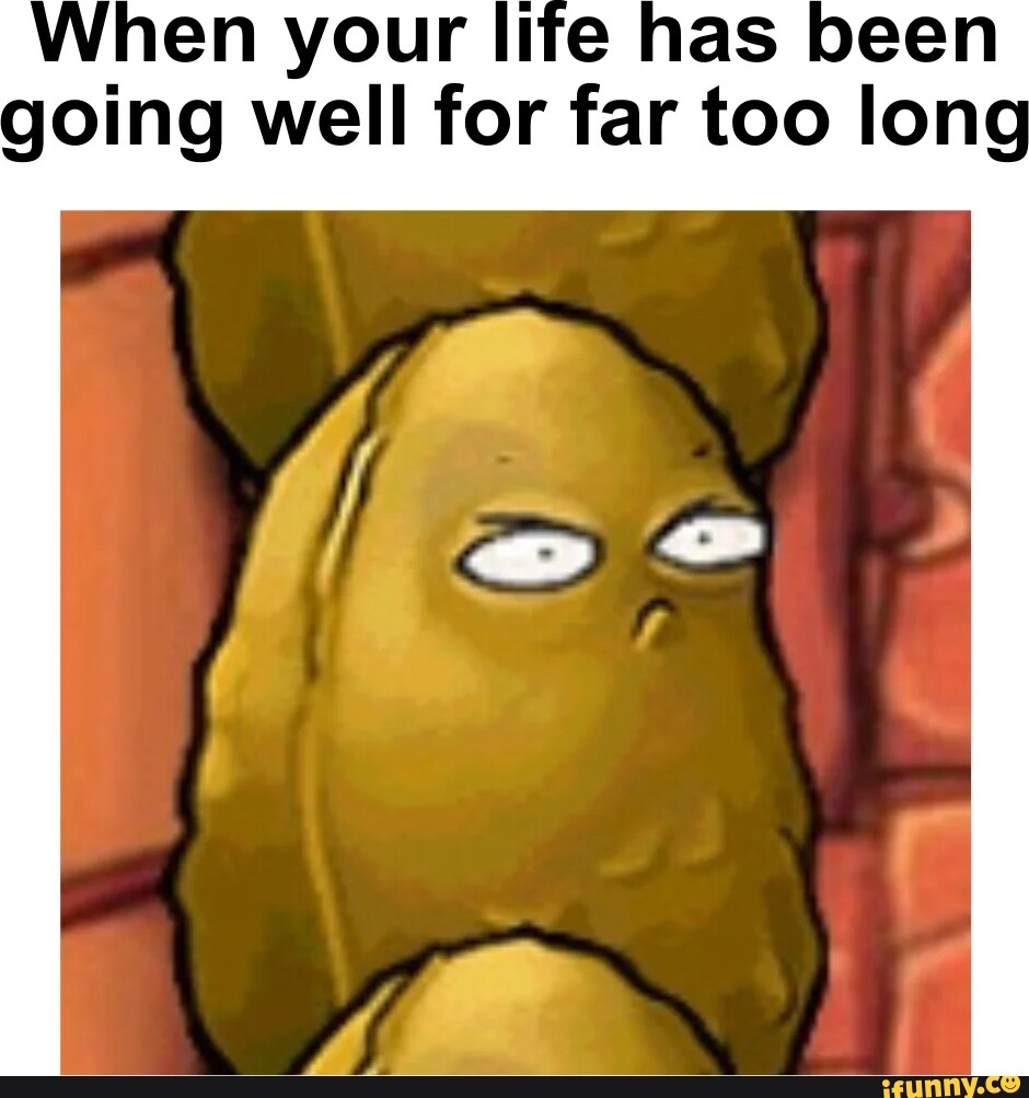 When your life has been going well for far too long - iFunny