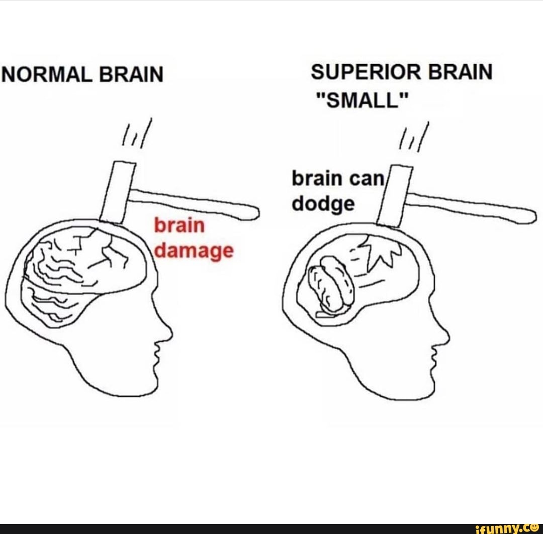 NORMAL BRAIN SUPERIOR BRAIN "SMALL" brain can dodge - iFunny