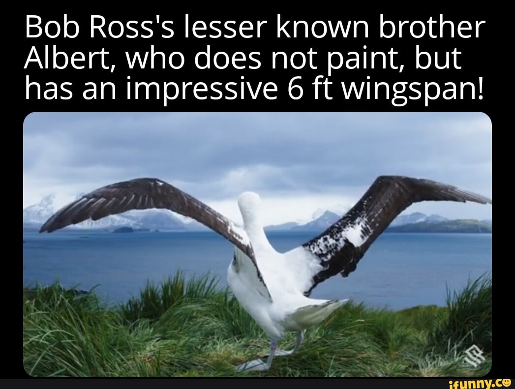 Bob Ross's lesser known brother Albert, who does not paint, but has an ...
