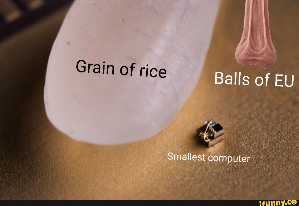 Grain of rice Balls of EU Smallest computer - iFunny