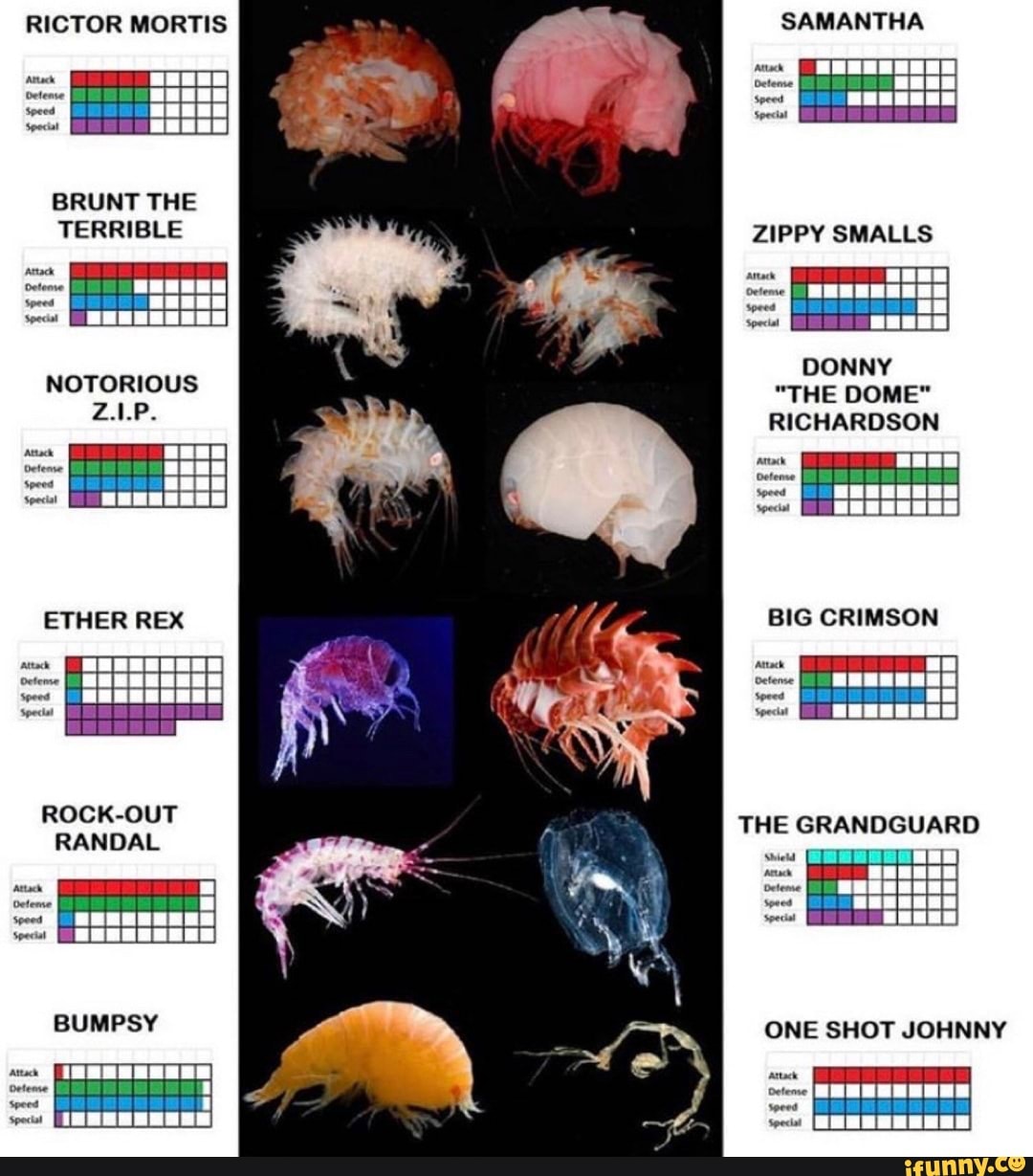 RICTOR MORTIS BRUNT THE TERRIBLE NOTORIOUS ETHER REX attach ROCK-OUT ...