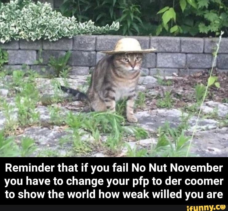 Reminder that if you fail No Nut November you have to change your pfp ...