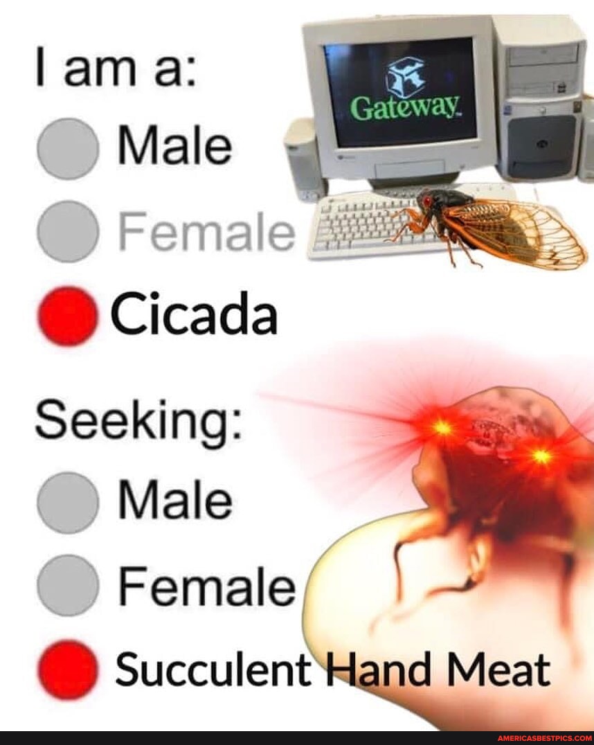 The cicadas are still here, which means your hand meat is still at risk ...