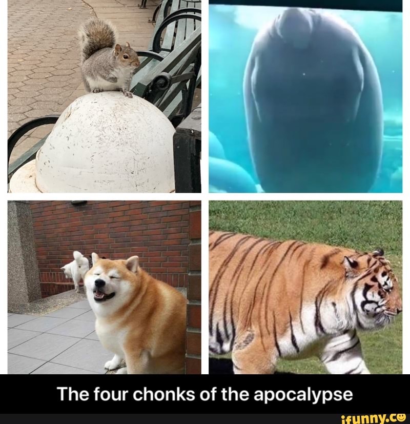 The four chonks of the apocalypse - iFunny