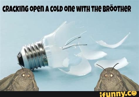 CRACKING OPeN A COLD oNe WITH THE BROTHER - iFunny