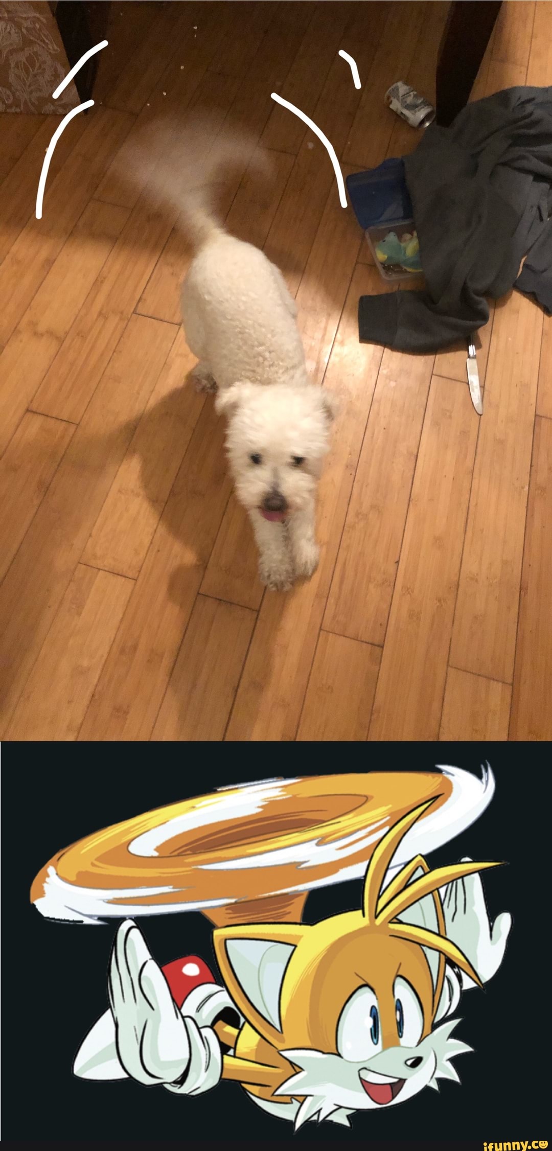 Sonicandtails memes. Best Collection of funny Sonicandtails pictures on ...