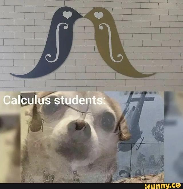 Integrals memes. Best Collection of funny Integrals pictures on iFunny