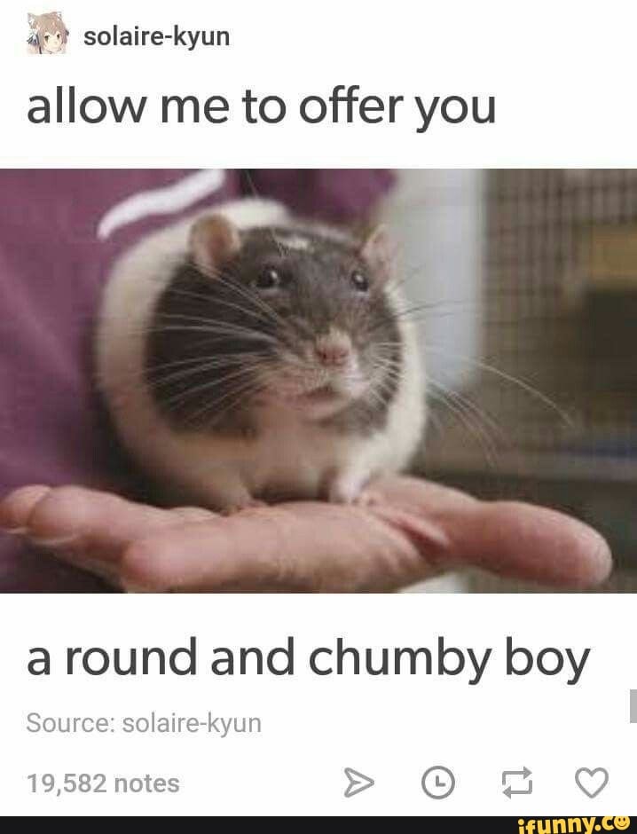 Allow me to offer you a round and chumby boy Source: solaire-kyun ...