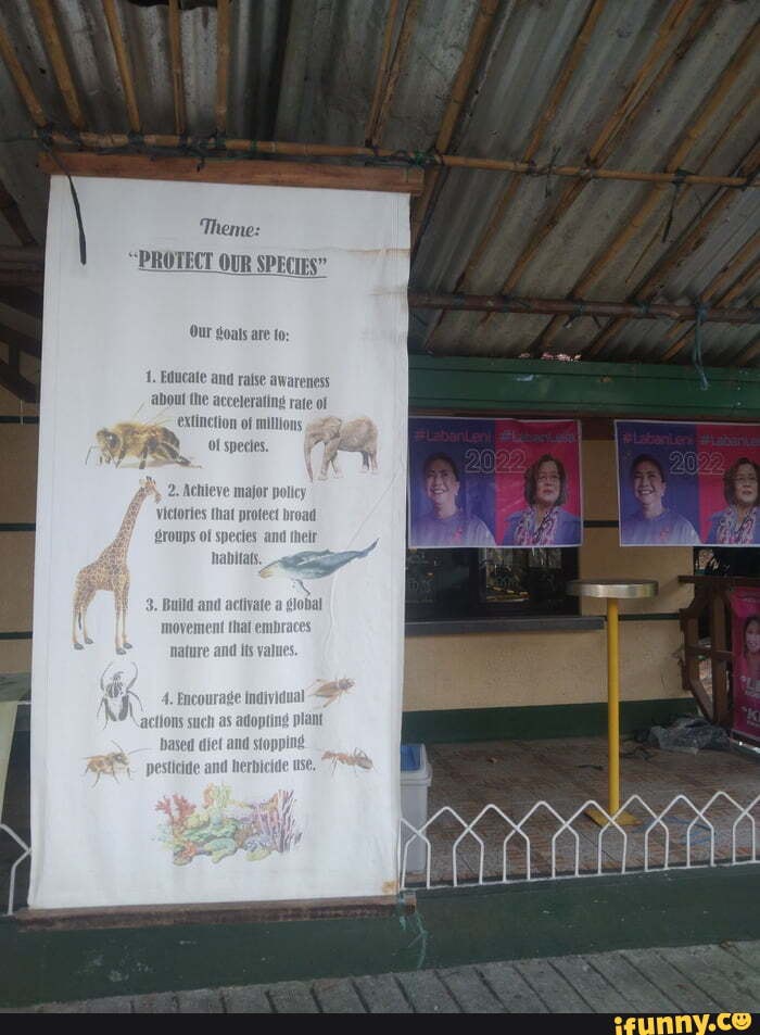 Baguio memes. Best Collection of funny Baguio pictures on iFunny