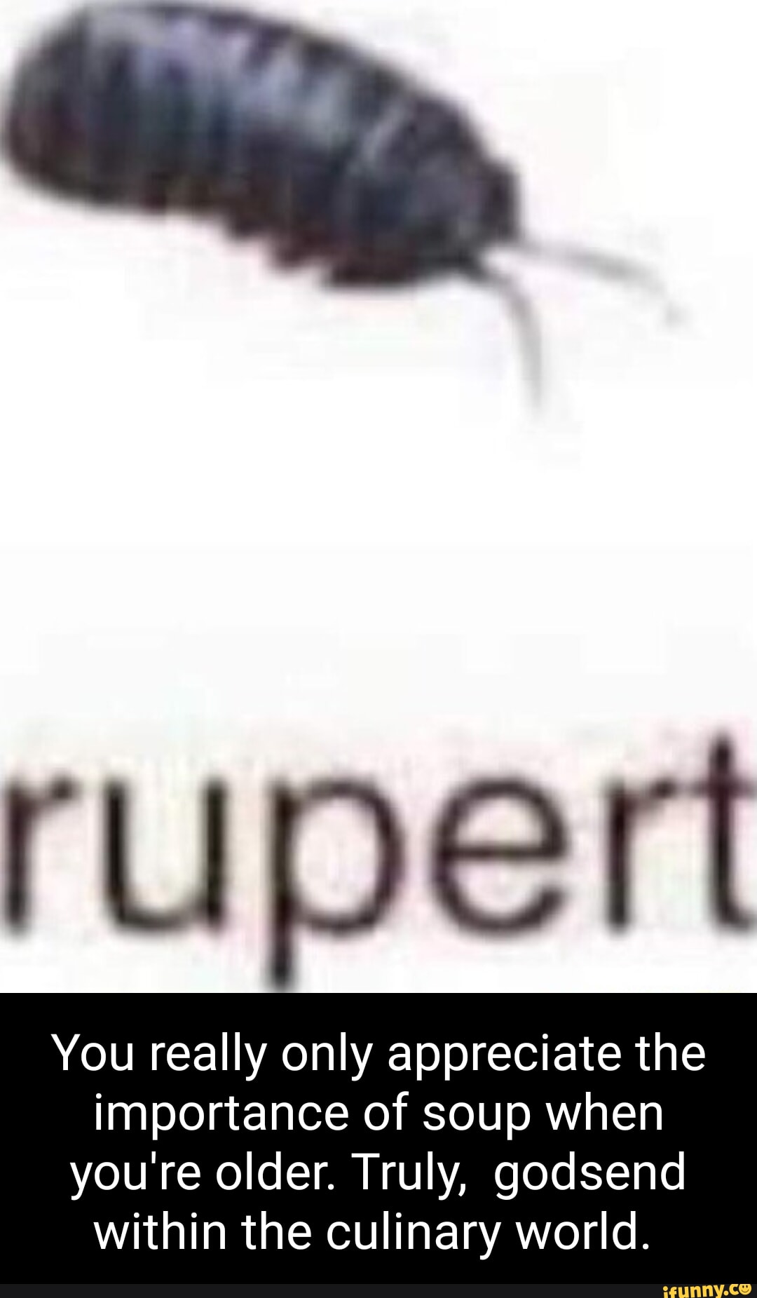 Godsend memes. Best Collection of funny Godsend pictures on iFunny