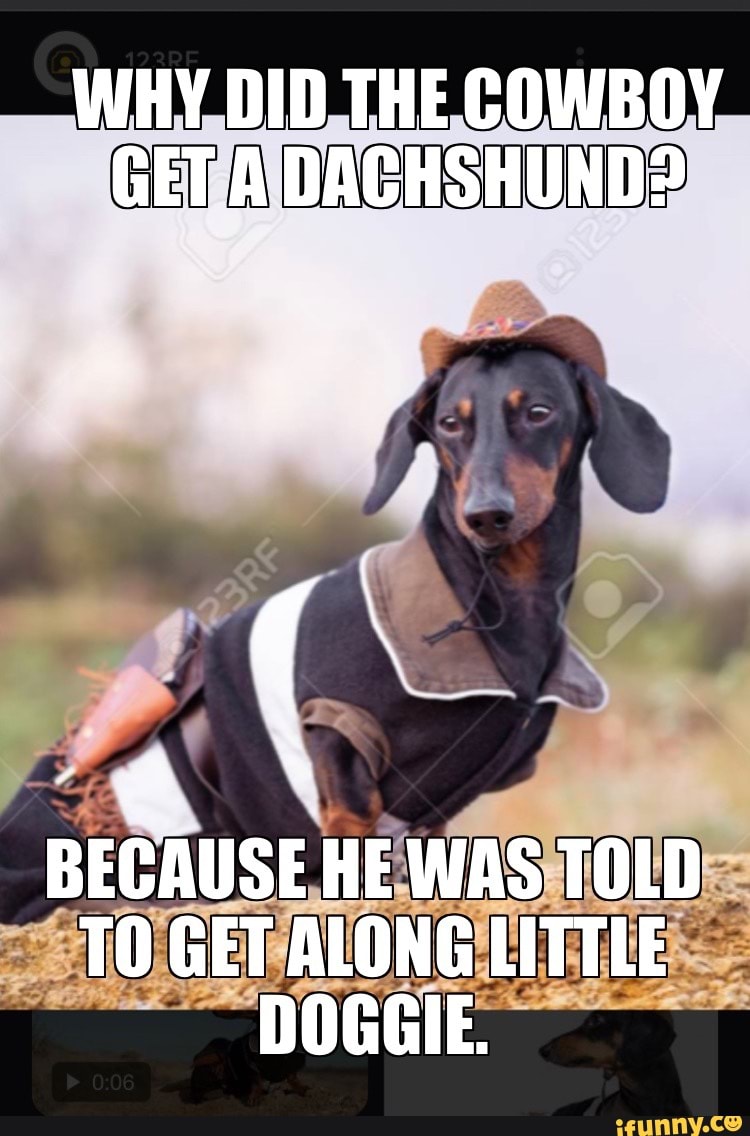 Why Did The Cowboy Get A Dachshund Because He Was Told To Get