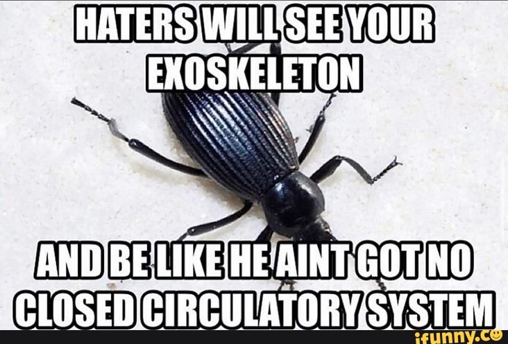 HATERS WILL EXOSKELETON AND )BE LIKE! HE NO - iFunny