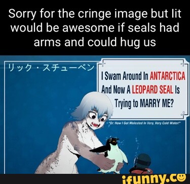 Sorry for the cringe image but lit would be awesome if seals had arms ...